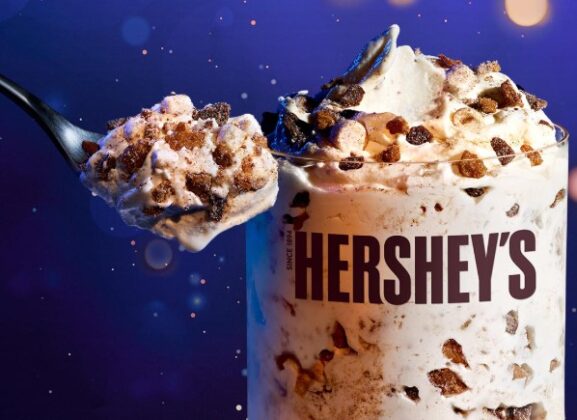 McDonald's Unveils New Hershey's S'mores McFlurry - The Fast Food Post